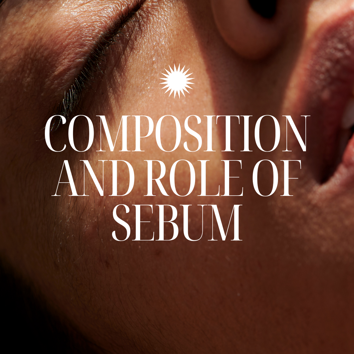 Composition and Role of Sebum | Pelcas